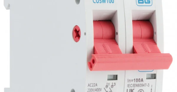 BG 100A DP Pole Main Switch