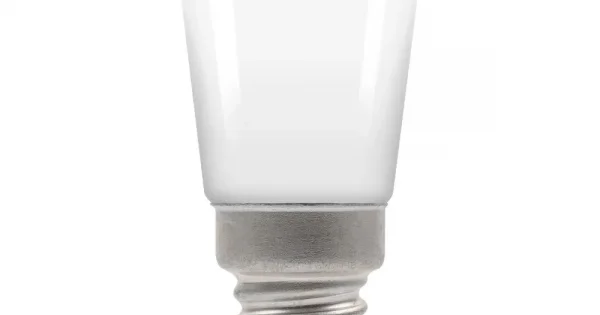 LED SES 1.5w Pygmy Lamp